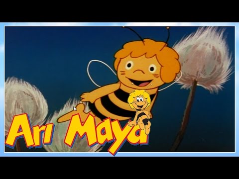 Arı Maya bölüm 27