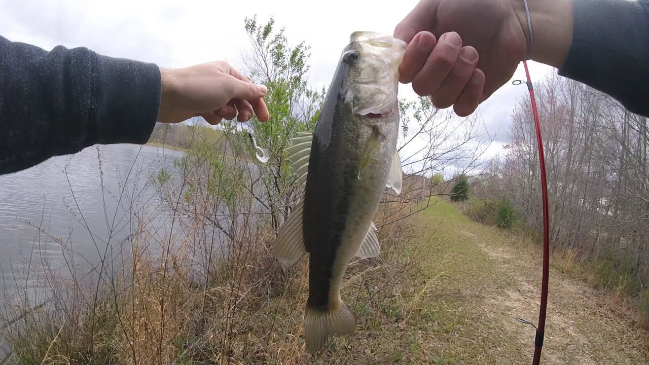 Fishing A Small Alabama Pond - YouTube