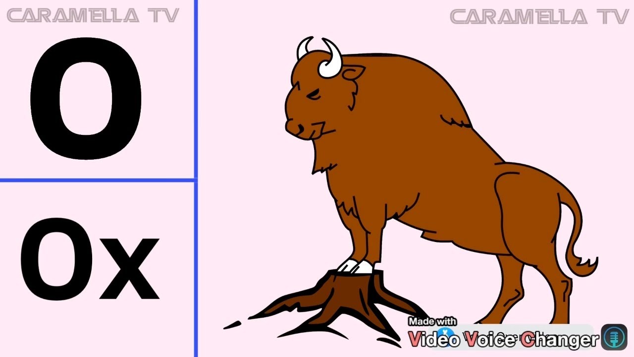 Letter O with words + other educational words @caramellatv9149 # ...