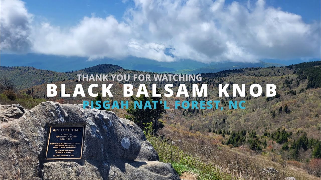 Black Balsam Knob via Art Loeb Trail - YouTube