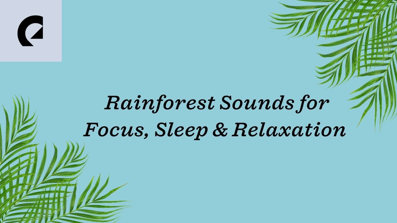 30 Min Rainforest Sounds for Sleep, Relaxing & Studying - YouTube