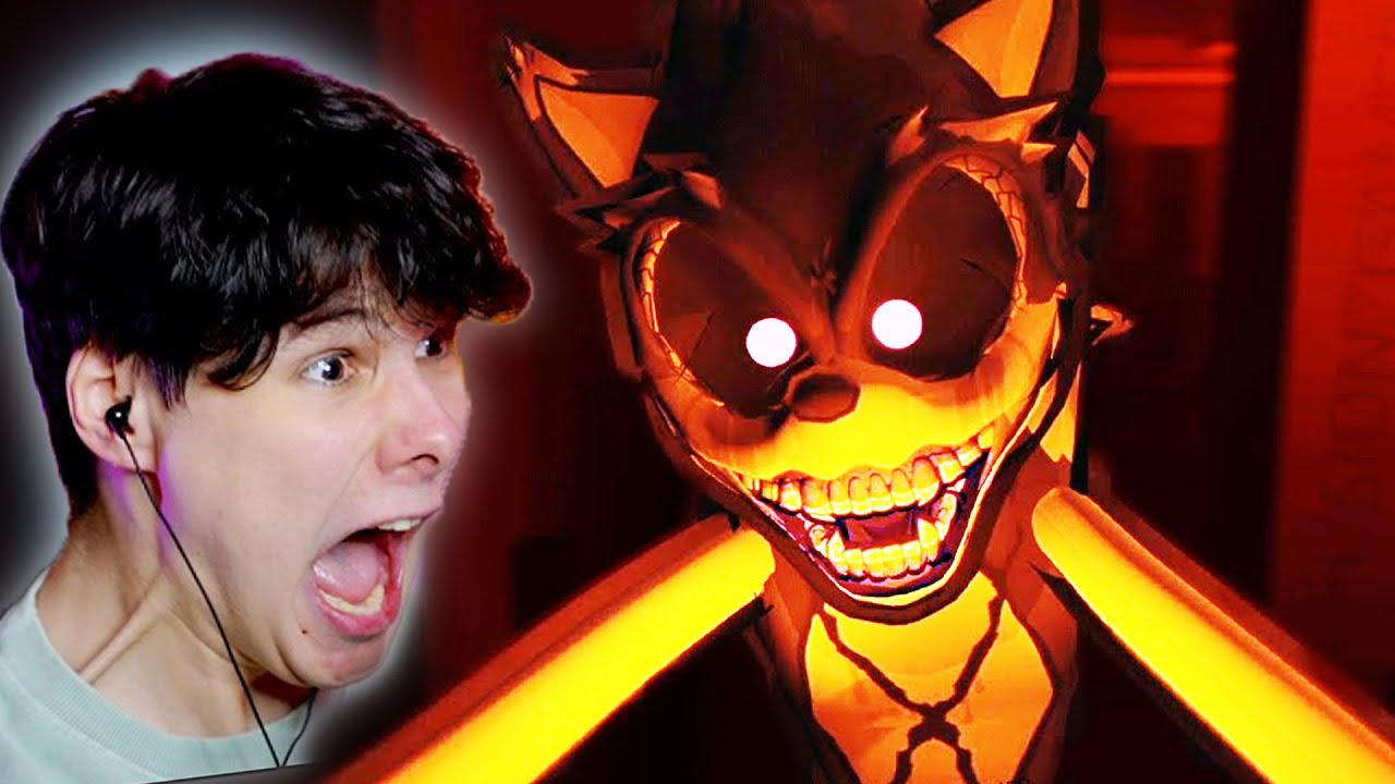 САМЫЙ СТРАШНЫЙ СОНИК.ЕХЕ, В КОТОРЫЙ Я ИГРАЛ Executable Education (Sonic ...