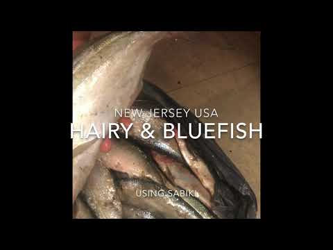 How to catch herring & blue fish - YouTube