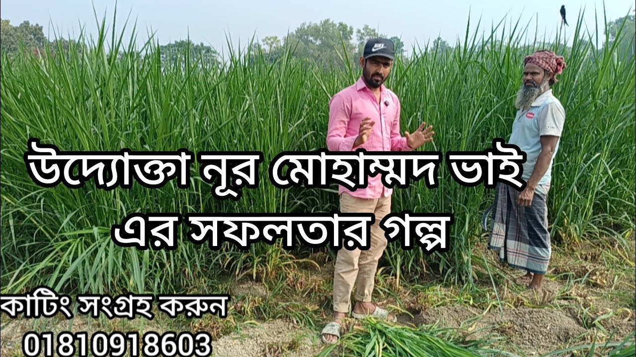 আসুন একজন সফল উদ্যোক্তার গল্প শুনি!! জারা ঘাস চাষ করে বৃহৎ খামার ...