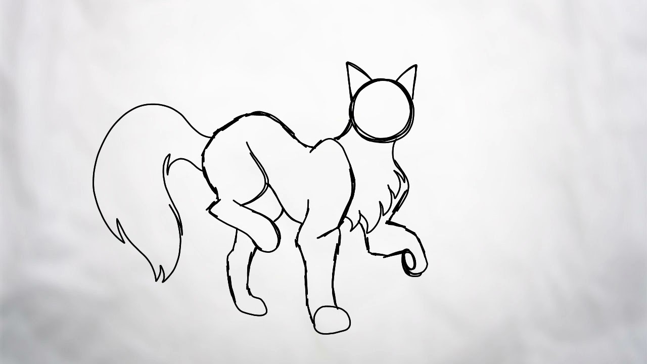 Cat animation sketch-Flipaclip - YouTube