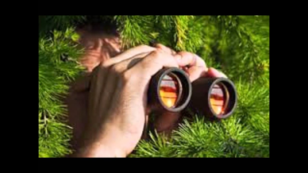 Martin Silber and Associates Private Investigations - YouTube