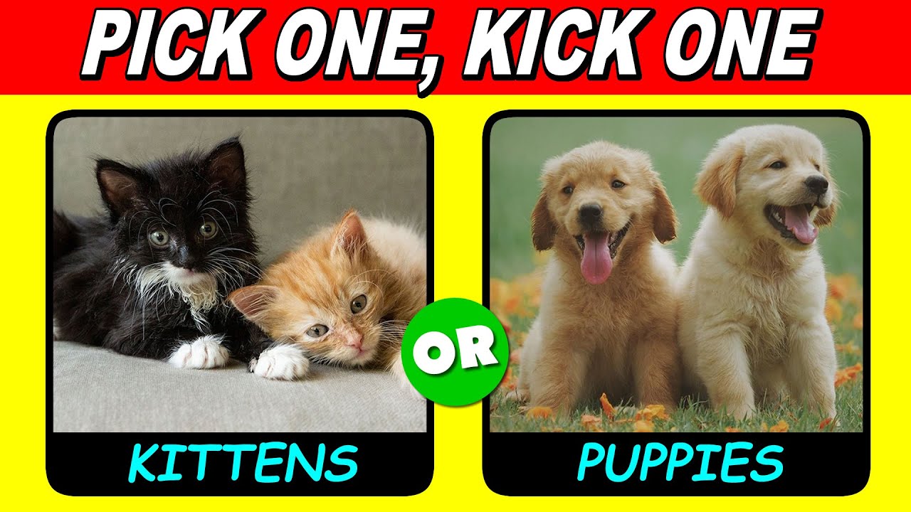 Pick One, Kick One Cute Animals Edition | CUTEST Animals in The WORLD ...