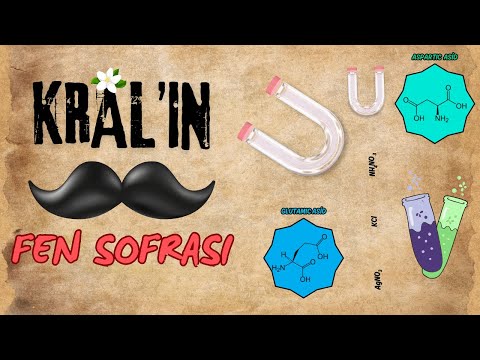 TUZ KÖPRÜSÜ NEDİR? KİMYA ÖABT-FEN ÖABT