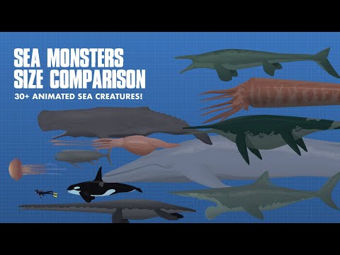 LARGEST SEA CREATURES | ANIMATED Size Comparison (Sea Monsters) | Safe ...