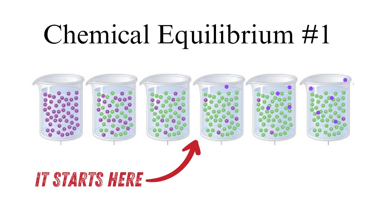 Chemical Equilibrium #1: The Equilibrium Constant - YouTube