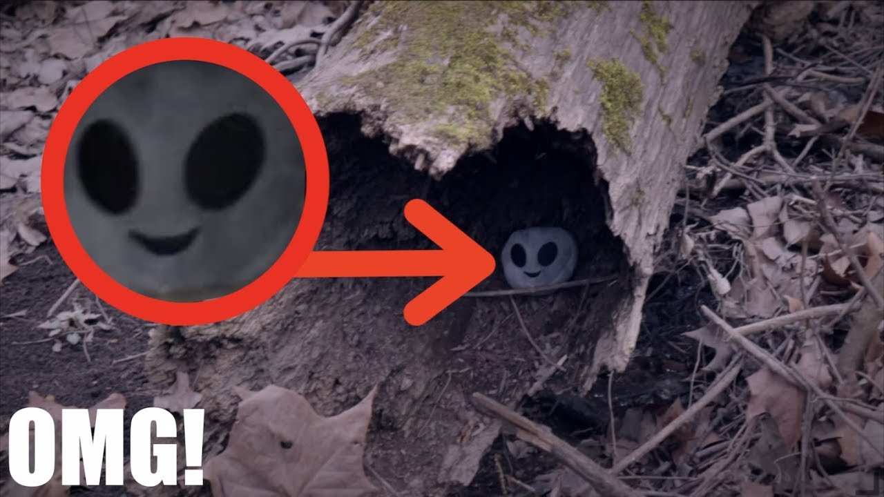 I FOUND AN ALIEN IN MY WOODS! *Did We Capture Him!* - YouTube