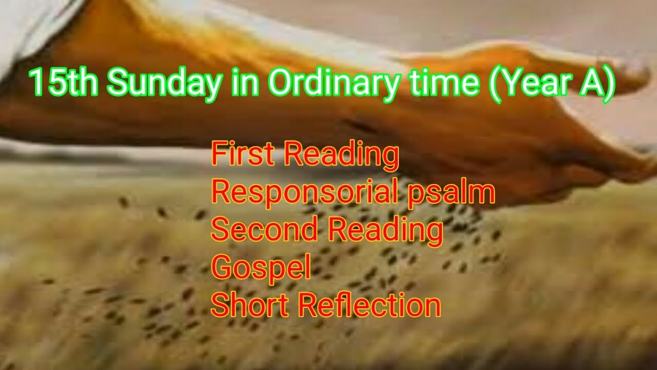 The Gospel on the 15th Sunday in Ordinary Time Year A - YouTube