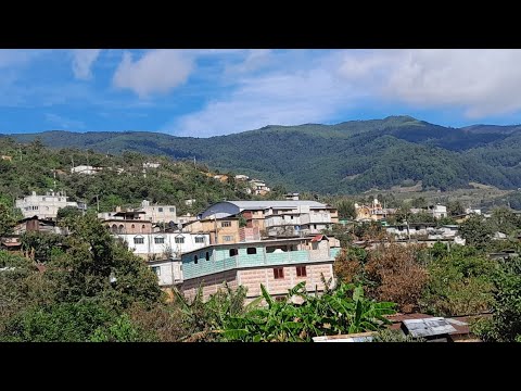 Disfrutando de unos ricos ejotes morados tiernos😋 - YouTube