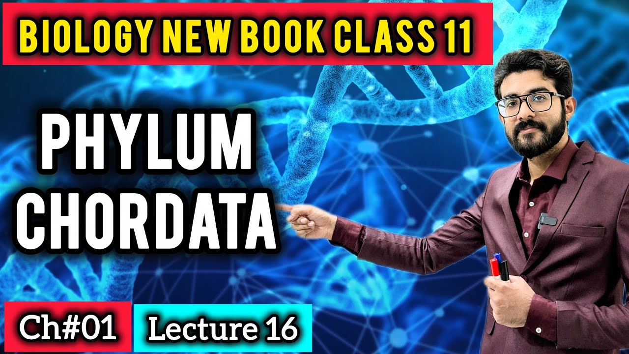 Phylum Chordata (Characteristics and Classification) | Class 11 Biology ...