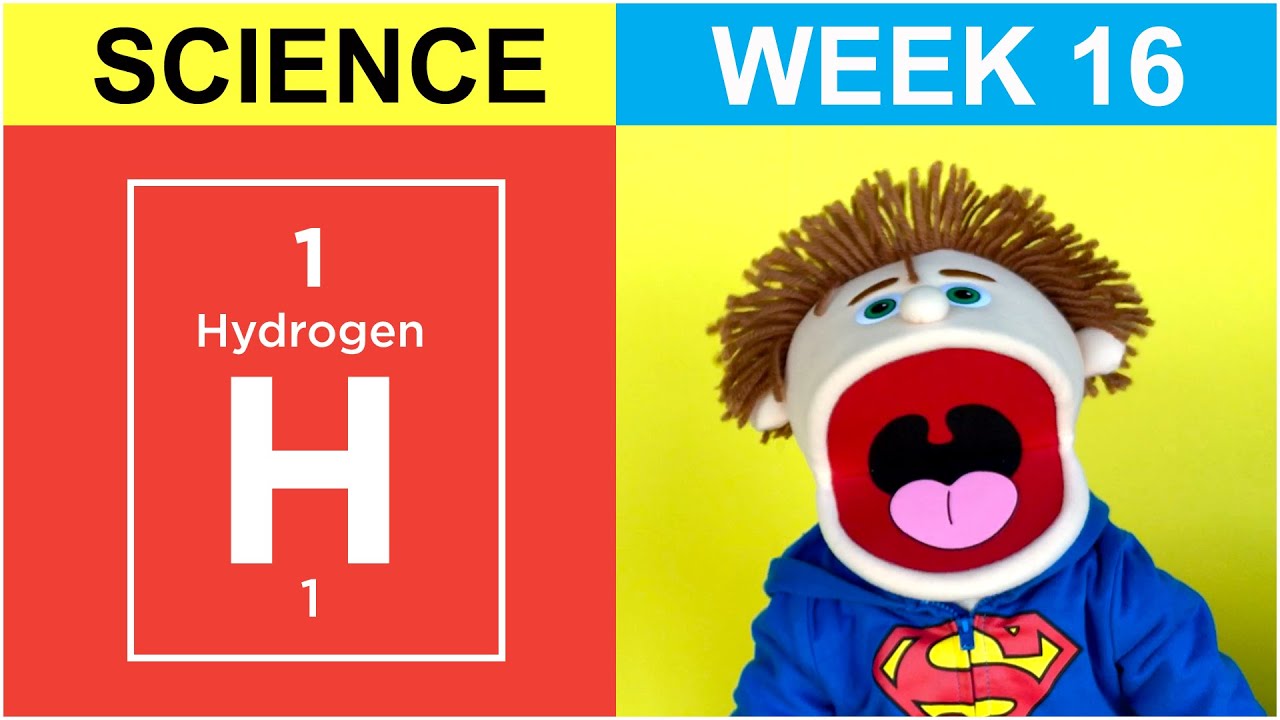 CC Cycle 3 Week 16 Science First 4 Elements of the Periodic Table - YouTube