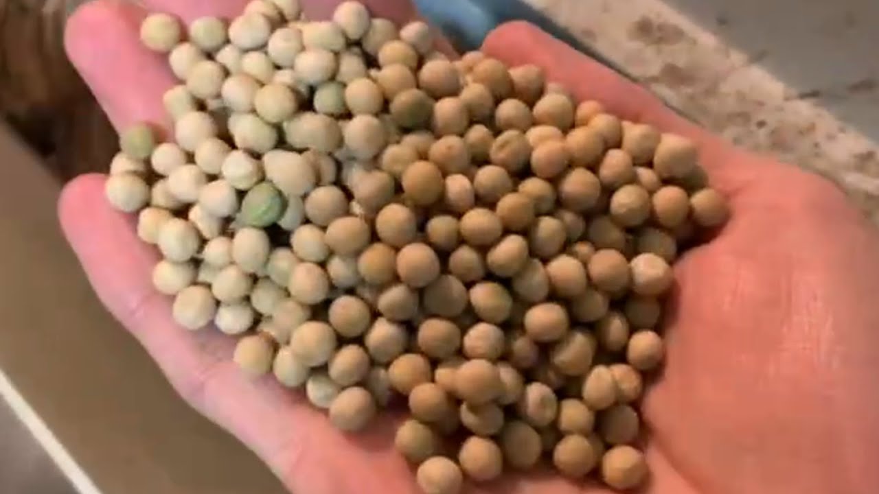 Overview of the Cimbria Delta 142.2 Pre-Cleaner - YouTube