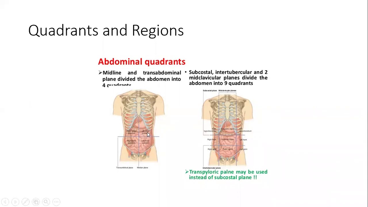 Intertubercular Plane