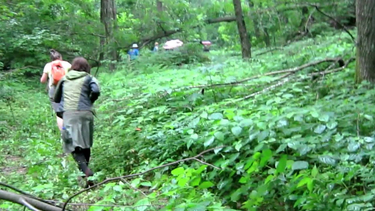 Wet walkers of Wakefield - YouTube
