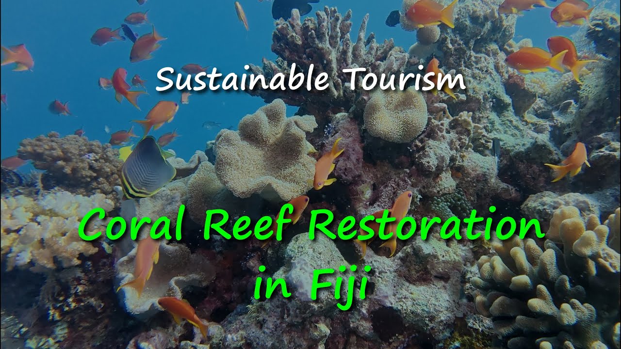 Coral Restoration Beqa Lagoon Resort - YouTube