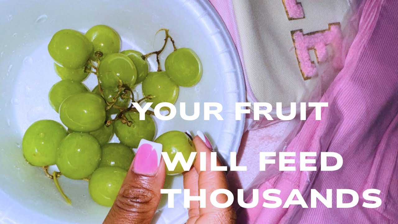 Your Purpose is Greater! Be Fruitful 🍇 & Feed God’s People 🙌🏽 - YouTube