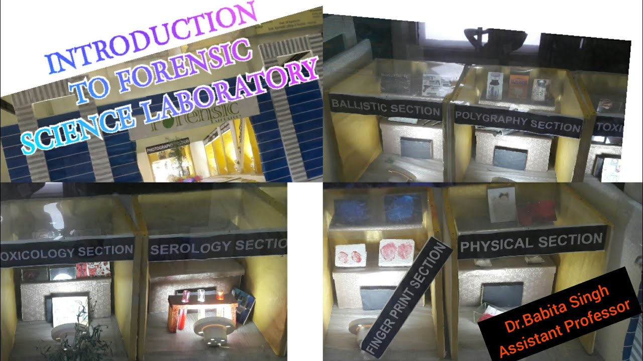 September 16, 2020 Introduction to Forensic Science laboratory (F.S.L ...