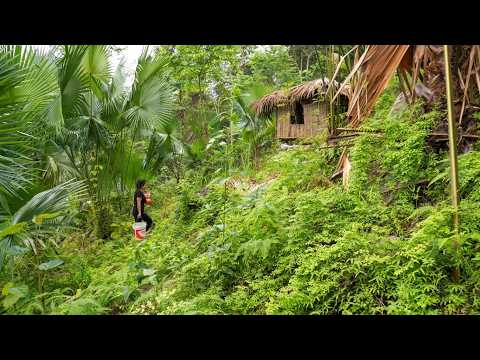 From Nothing to a Bamboo Home: A Single Mother’s Incredible Building Journey
