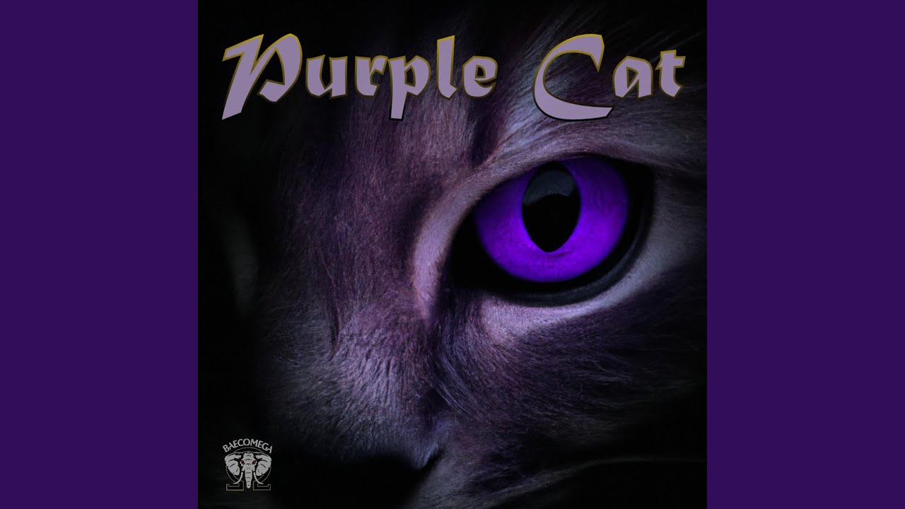 Purple Cat - YouTube