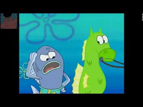 Scooter the Surfer Fish Experiences a Kiddie Ride on the Loose for 10 ...