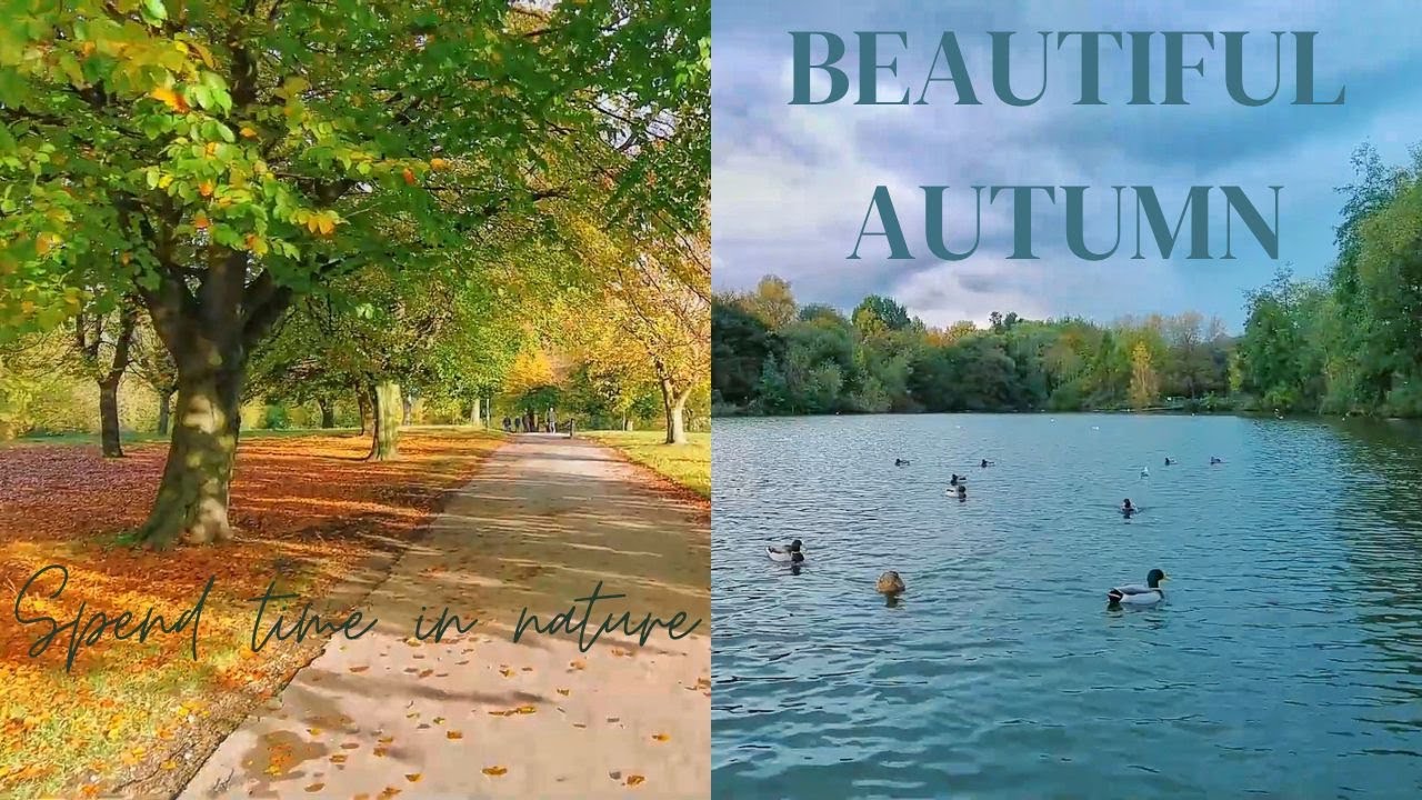 Lawn Park Sutton in Ashfield - YouTube