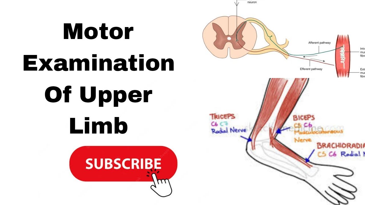 Examination Of Upper Limb Motor system | CNS Examination | #cns - YouTube