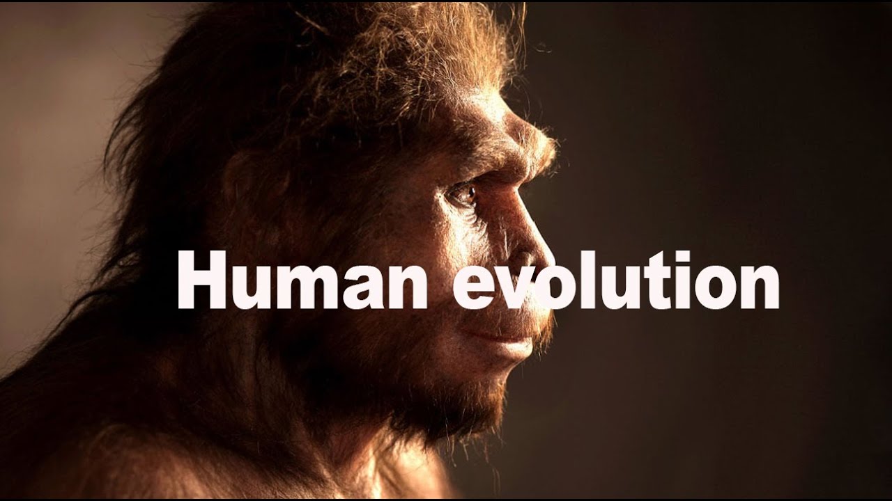 Human Evalution Ep6 Youtube