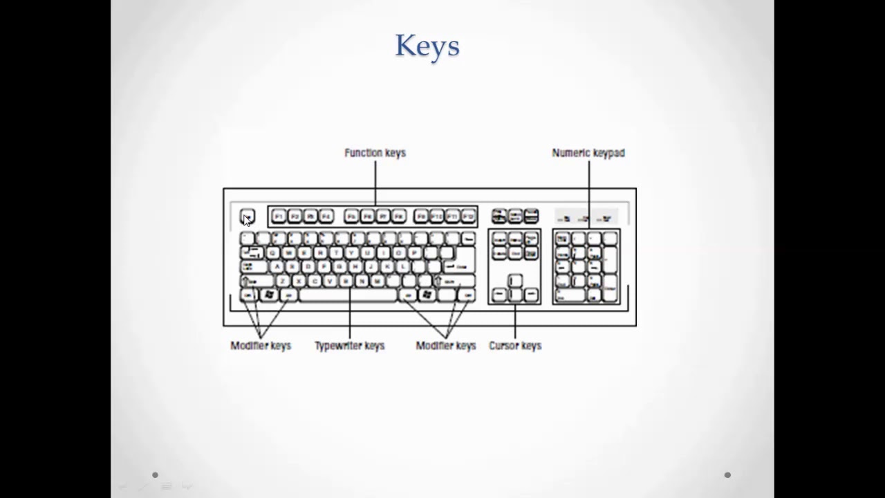 How To Type In Microsoft Word | Options In Typing | Microsoft Word