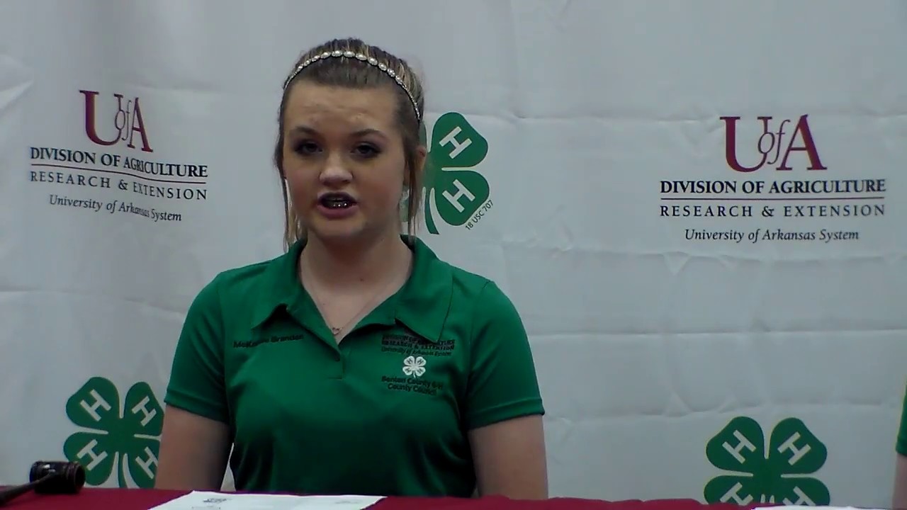 4 H Club Meeting Series A Good 4 H Meeting YouTube 4 H Club Meeting Series A Good 4 H Meeting YouTube