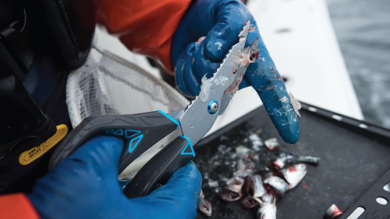 Gerber Processor Salt - YouTube