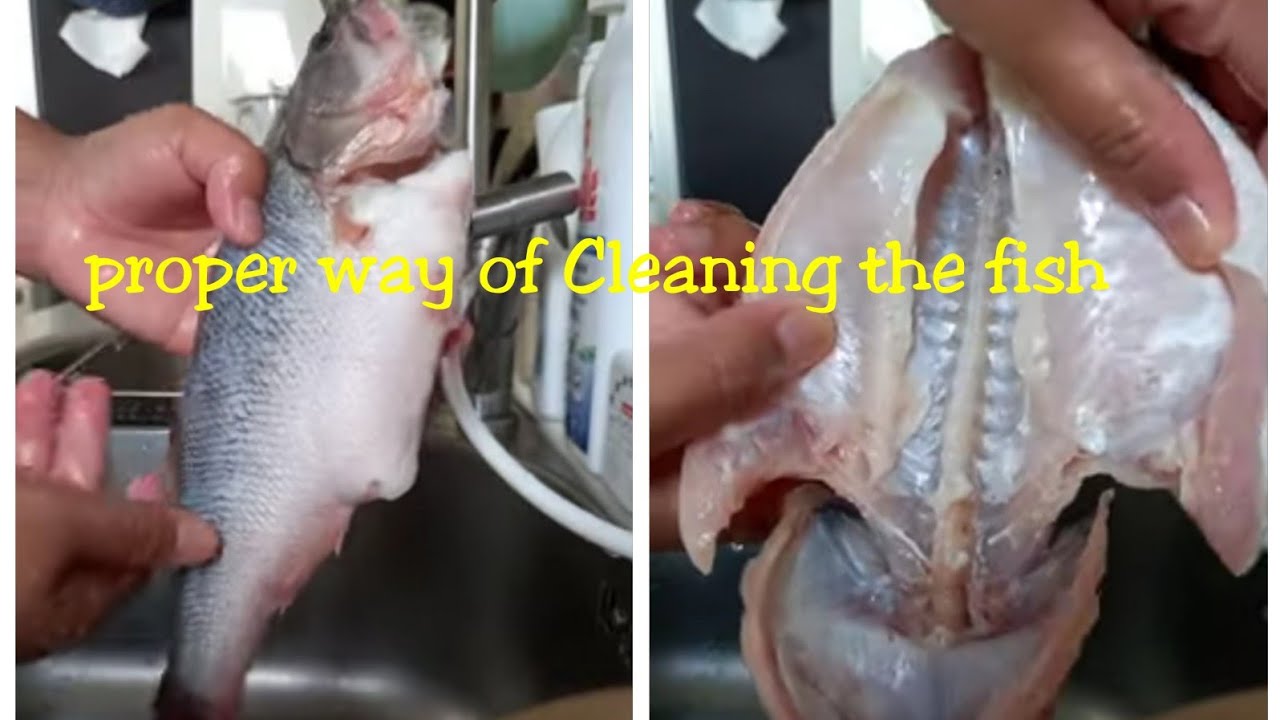 Proper way of washing the fish - YouTube