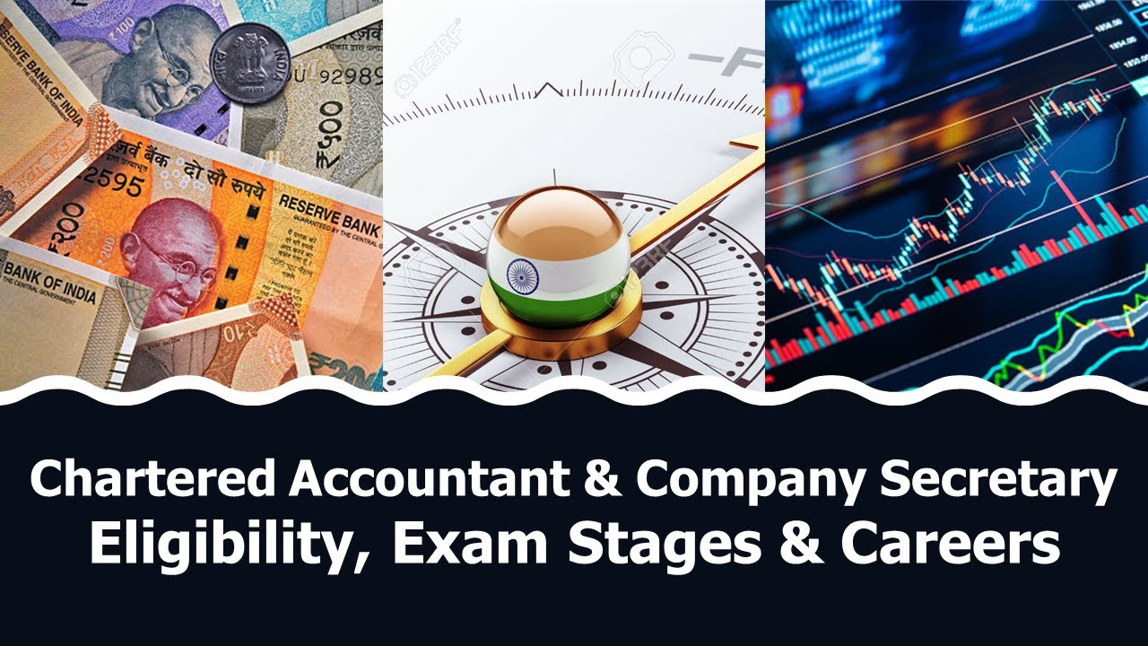 14. Chartered Accountant and Company Secretary Stages - YouTube