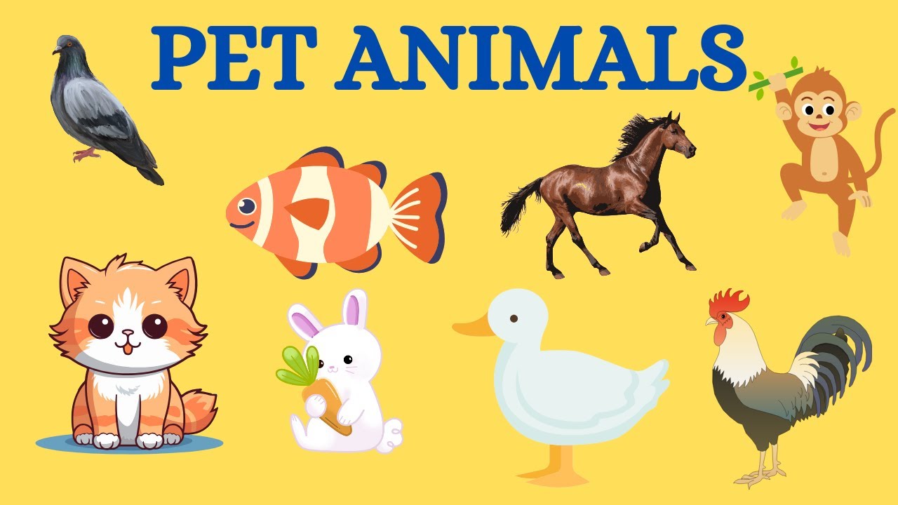 Pet Animals for kids | Learning Video For Kids | Learn pet animals with ...