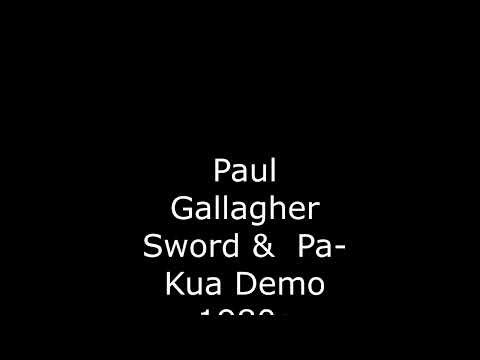Paul Gallagher montage- Taiji sword, Pa-Kua, and the Monkey King himself!