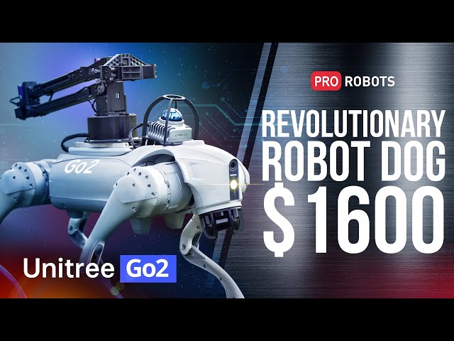 Revolution: A New Quadruped Robot Of Embodied AI, 51% OFF