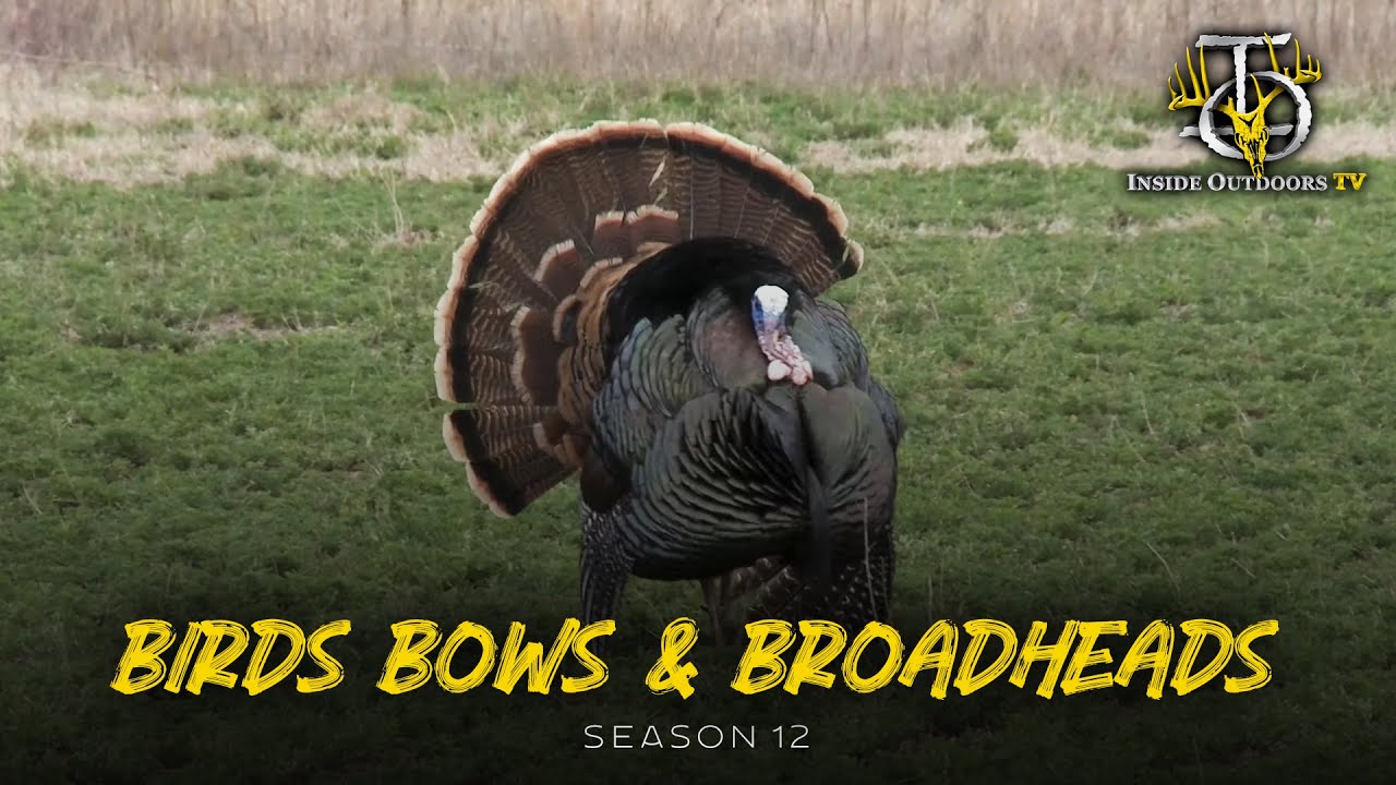 Birds Bows & Broadheads - YouTube