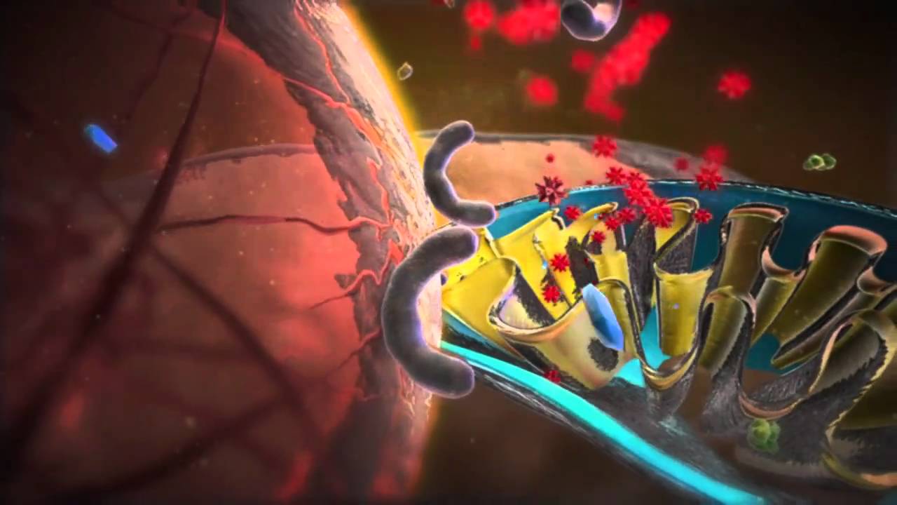 ASEA Stories Dr. Samuelson.m4v - YouTube