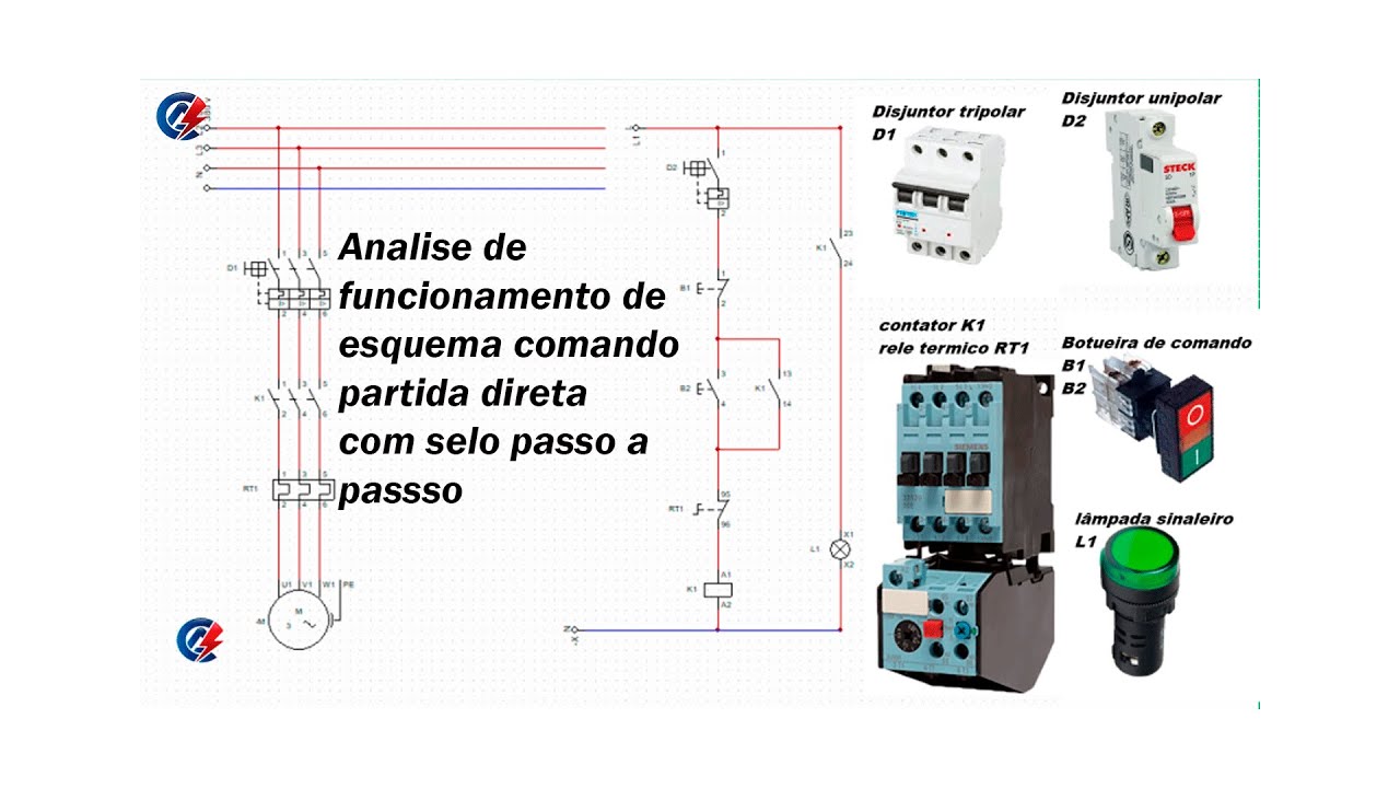 Partida Direta Com Selo - REVOEDUCA