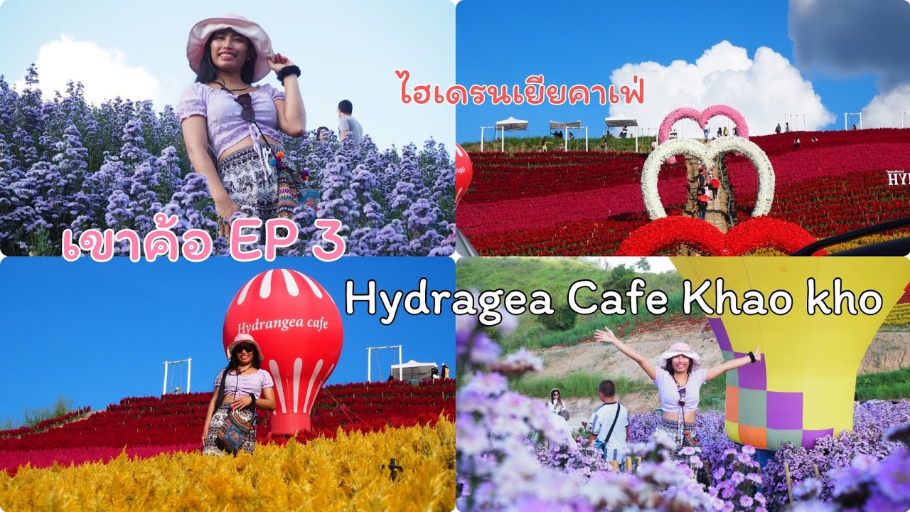 เขาค้อ EP 3 Hydrangea Cafe | Khao kho - YouTube