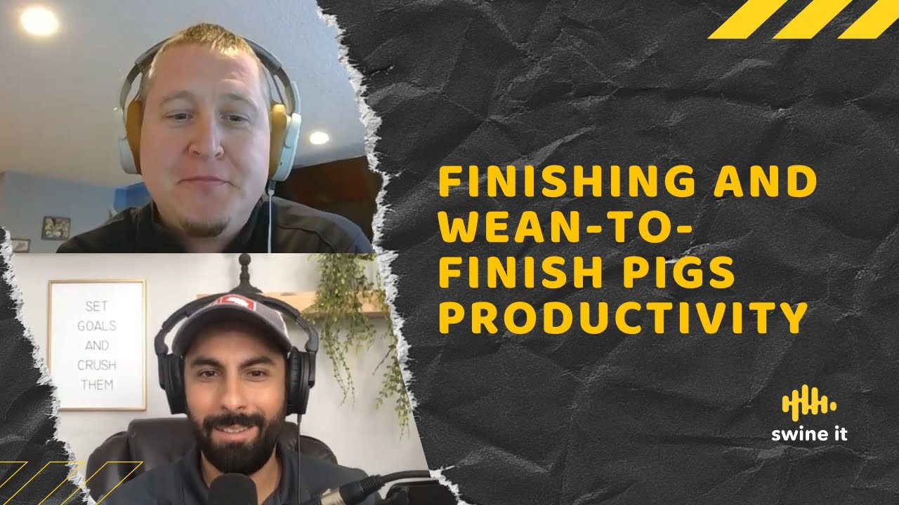 Dr. John McGlone: Addressing Abnormal Pig Behavior | Ep. 82 - YouTube