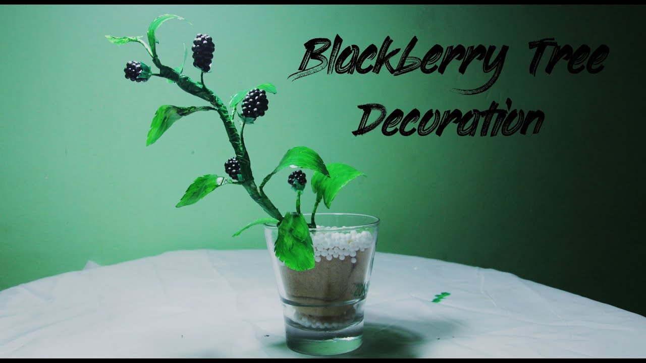 Membuat pohon Blackberry mini | Mini Blackberry Tree Decorations - YouTube