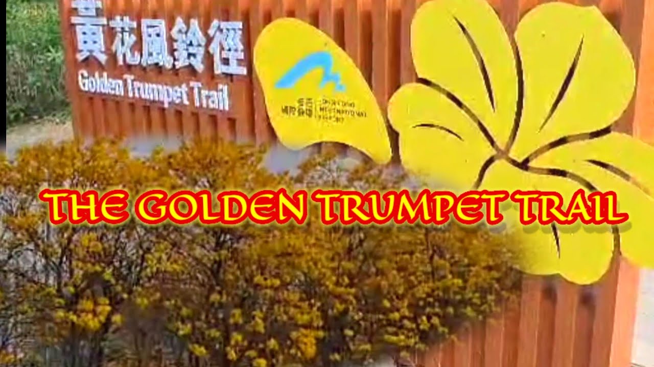 THE GOLDEN TRUMPET TRAIL at HKIA 2025 #goldentrumpettrail # ...
