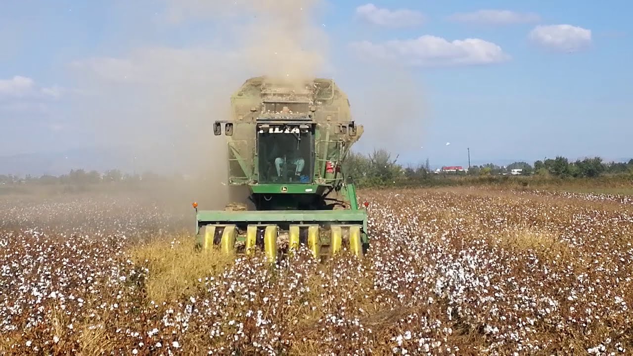 John deere 7455 stripper picked cotton - YouTube