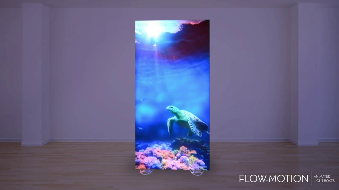 Turtle Flow Motion LED Light Box Display - YouTube