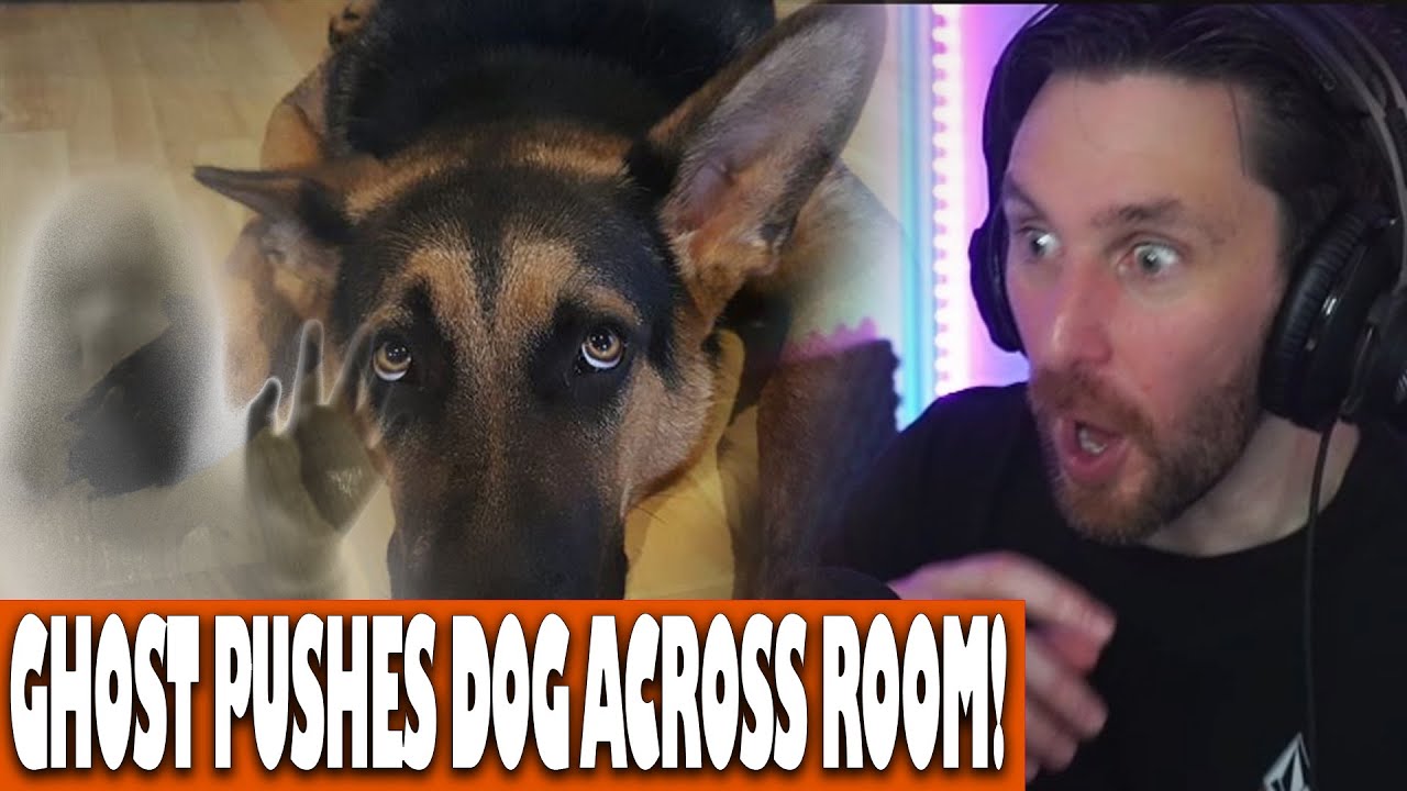 TOP GHOST VIDEOS THAT WILL KEEP YOU AWAKE TONIGHT- SLAPPED HAM - YouTube