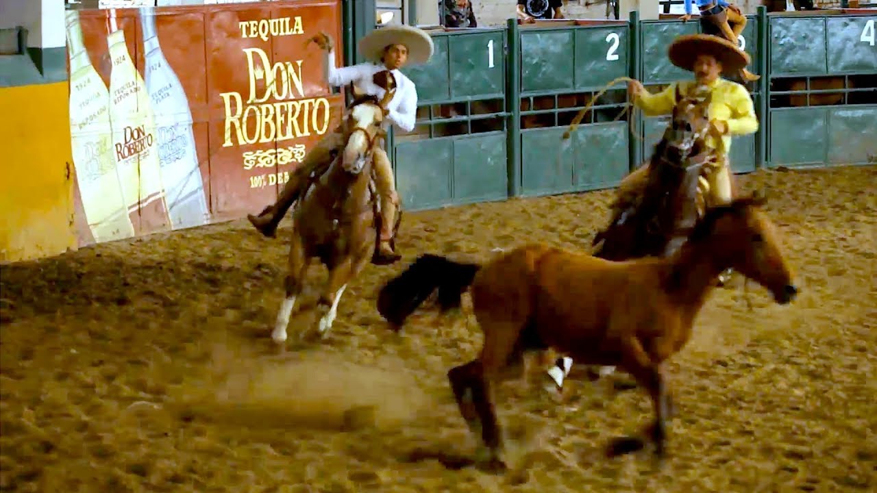 Next Stop: Guadalajara - Traditional Mexican Rodeo - YouTube